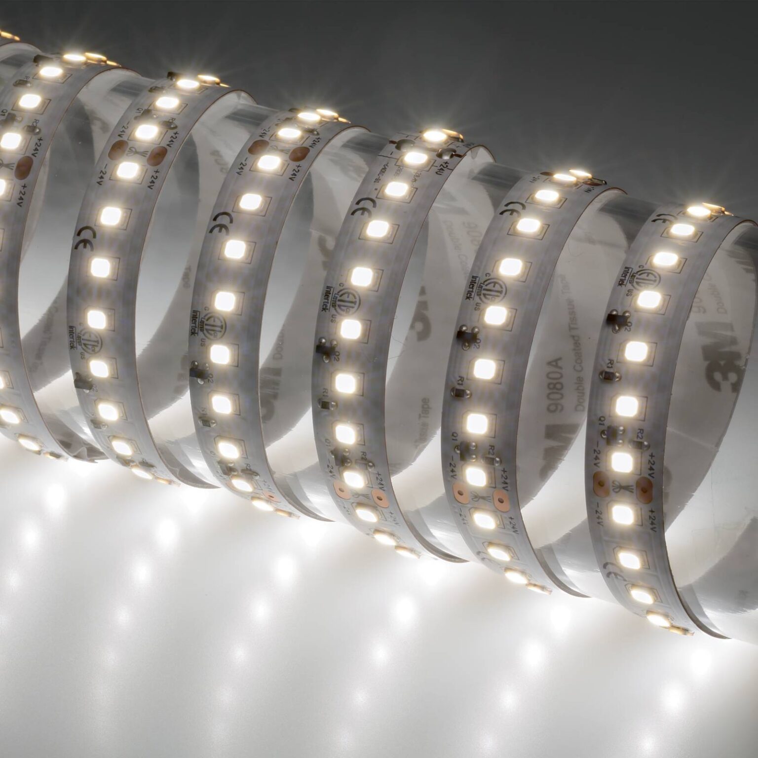 Strip LED 24V - Nobile